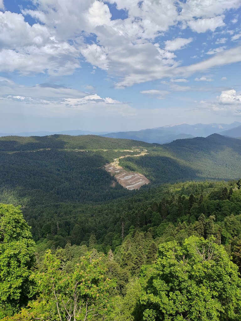 Dağ zirvesi Гора Абадзеш 2369 метра, Adıge Cumhuriyeti, foto