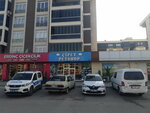Çipet Petshop (Soğanlı Mah., 4. Tabak Sok., No:36, Osmangazi, Bursa), petshop  Bursa'dan