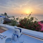 Tarihi Çınar Balık Restaurant (Türkmen Mah., Gazibeğendi Blv., No:5, Kuşadası, Aydın), restoran  Kuşadası'ndan