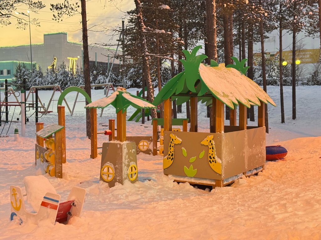 Oyun alanı Playground, Gubkinski, foto