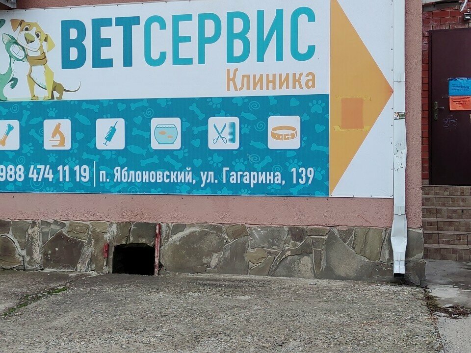Ekmek fırını Хлеб из тандыра, Adıge Cumhuriyeti, foto