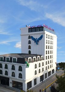 Grande Arte Hotel (Eskişehir, Tepebaşı, Eskibağlar Mah., Ulugün Sok., 4A), otel  Eskişehir'den
