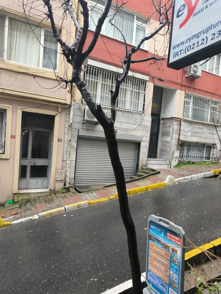 Medikal cihaz firmaları Paşam, İstanbul, foto