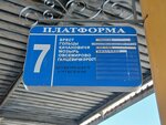 Autobusų stotis Pinsk (Bresckaja voblasć, Pinsk, Centralny Сity Sector), toplu taşıma durağı  Pinsk'ten