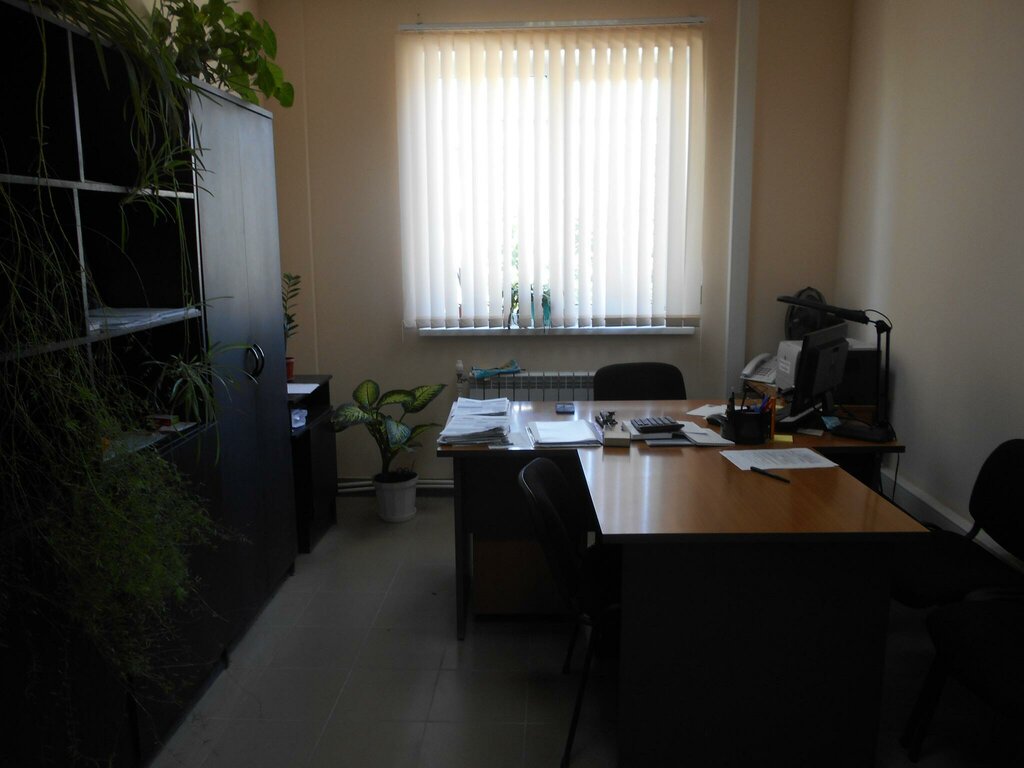 Sigorta şirketleri Росгосстрах, Nijegorodskaya oblastı, foto