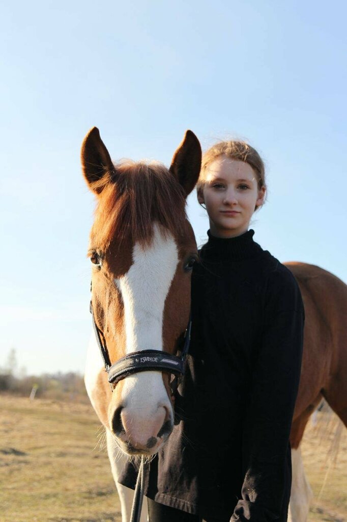 At ve binicilik kulüpleri Конюшня, конная команда PintoHorse, Moskova ve Moskovskaya oblastı, foto