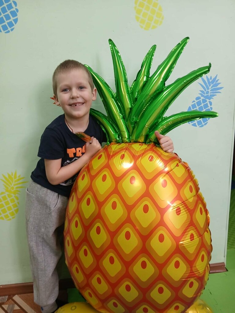 Çocuk gelişim merkezleri Ананас, Tümen (Tiumenskaya) oblastı, foto