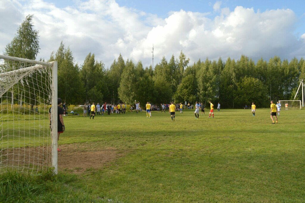 Spor alanı Футбольное поле, Domodedovo, foto