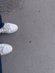 НИКИО им. Л.И. Свержевского, КПП № 2 (Zagorodnoye Highway No:18Ас2), geçiş noktaları, güvenlik kontrol alanı  Moskova'dan