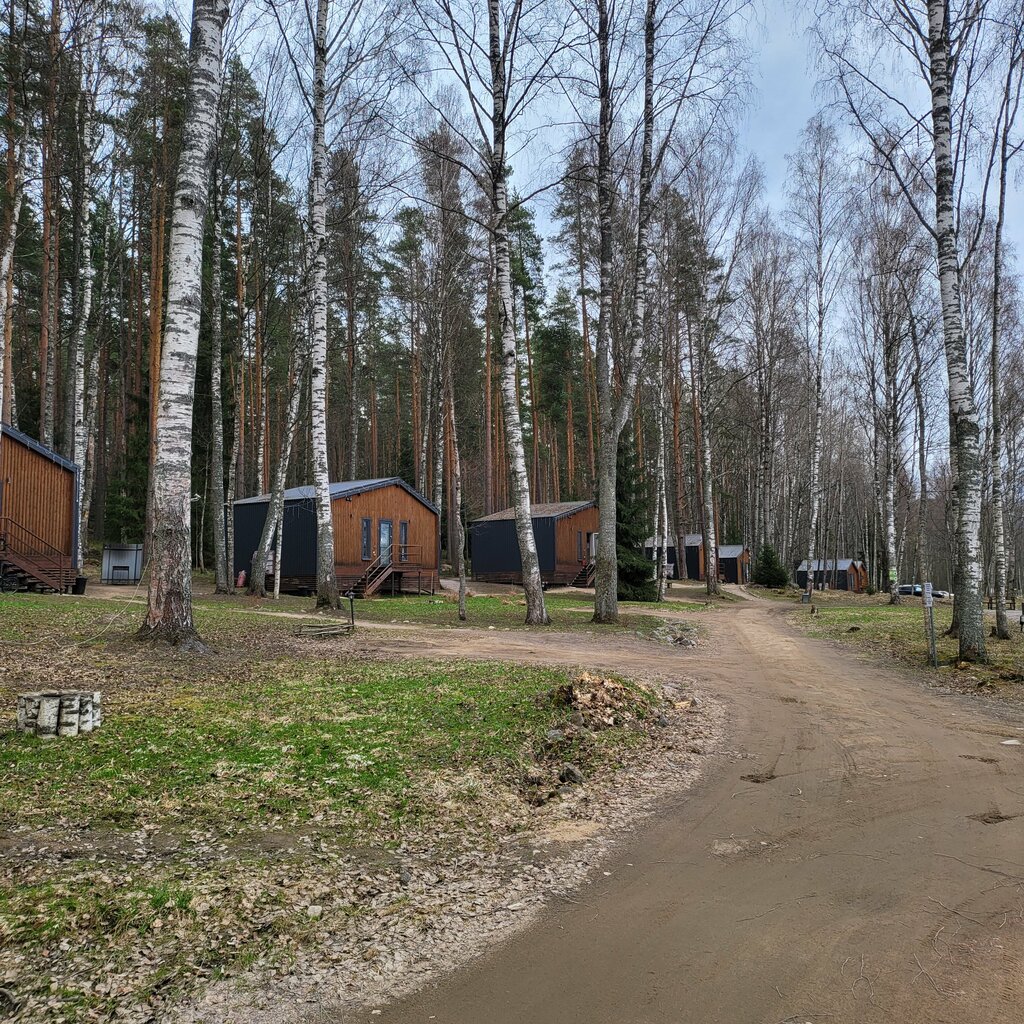 Yük istasyonu остановочный пункт Дружное, Saint‑Petersburg ve Leningradskaya oblastı, foto
