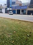 Articolor (Distrital Miraflores, El Rosedal, Avenida Alfredo Benavides, 5387), tasarım stüdyoları  Lima Bölgesi'nden