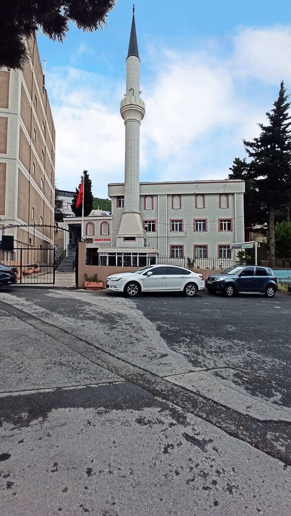 Cami Tatlısu H. İsmail Ercin Cami, İstanbul, foto