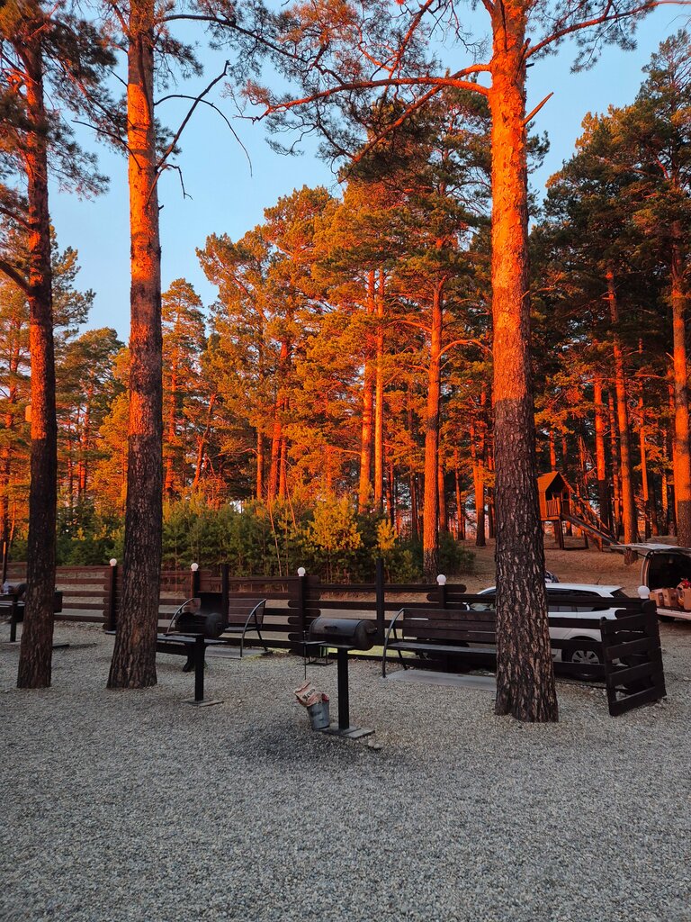 Kültürel etkinlikler için kiralık alanlar Siberian grill, Angarsk, foto