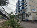 Ali dent (Raiymbek Avenue No:281), özel ağız ve diş sağlığı klinikleri ve muayenehaneleri  Almatı'dan