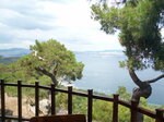 Büyükada Tabiat Parkı (İstanbul, Adalar, Büyük Tur Yolu, 48J), piknik alanı  Adalar'dan