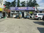 Алиса (Gagarina Street No:63), yapı mağazası  Soçi'den