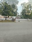 Tereshkovoy Street (Lipetsk, Kosmonavtov Street (parallel)), toplu taşıma durağı  Lipetsk'ten