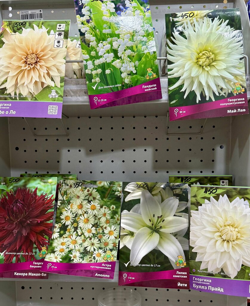 Bahçecilik mağazaları Садовый дворик, Moskova ve Moskovskaya oblastı, foto