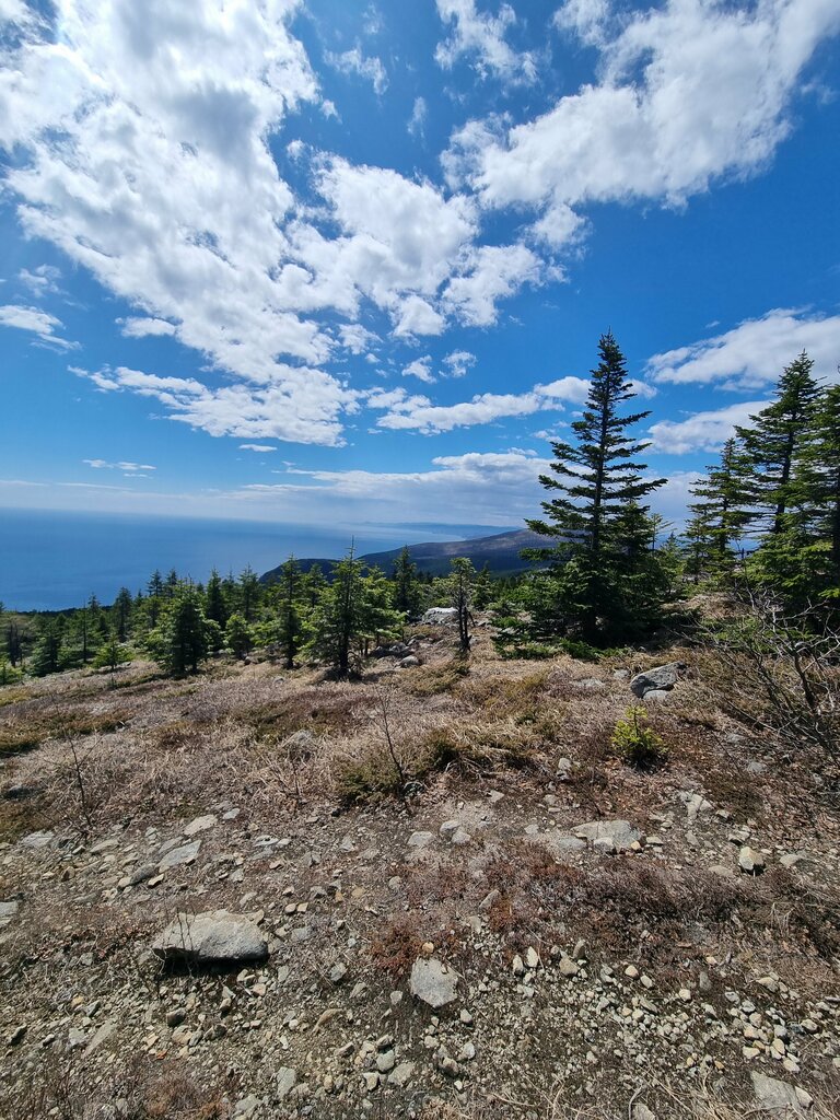 Dağ zirvesi Гора Лысая, Sovetskaya Gavan, foto