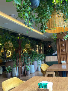 Lesnoy (Ibraimov Street No:70), kafe  Bişkek'ten