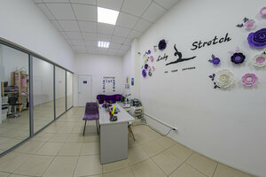 Lady Stretch (Karpinskogo Street No:33В), fitness kulüpleri  Penza'dan