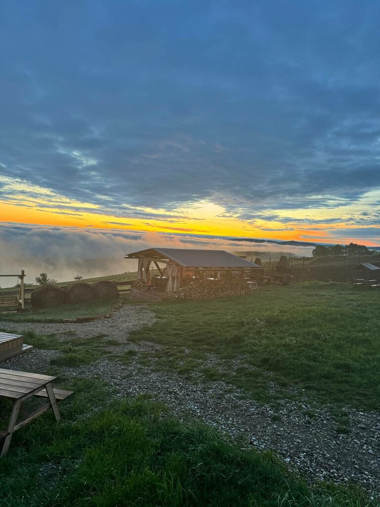 Kahve dükkanları АмБар, Karaçay‑Çerkez Cumhuriyeti, foto