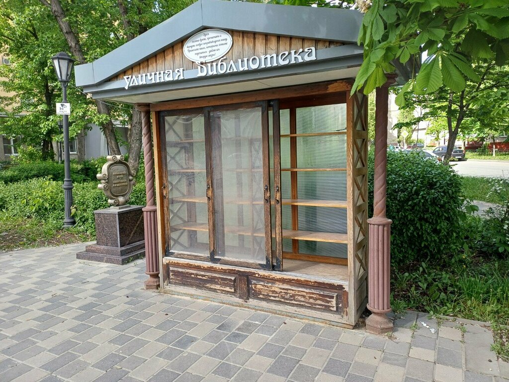 Gezgin kitap Буккроссинг, Lipetsk, foto