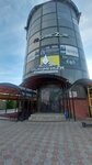 Mixed Martial Arts for Children (Zheltoksan Street No:128), spor kulüpleri  Taraz'dan