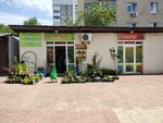 Огород плюс (vulica Gryshyna No:6/1), tohum satan yerler  Moguilev'den