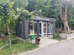 Alimentara (Chisinau, sectorul Botanica), market  Kişinev'den