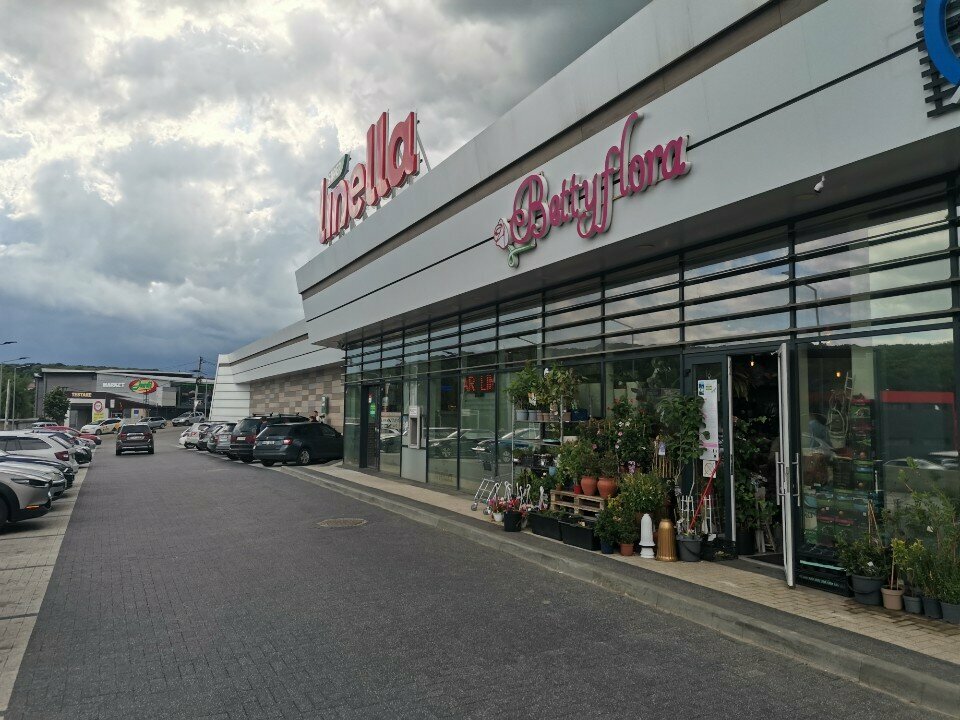 Çiçekçiler Bettyflora, Dünya, foto