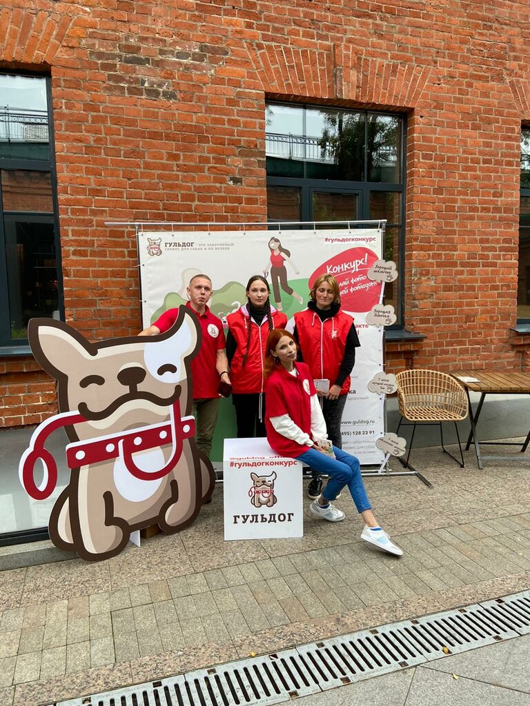 Uzman hizmetleri Гульдог, Сервис по Выгулу Собак, Moskova, foto