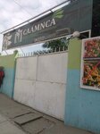 Caamnca (Luanda, Rua Augusta), tıbbi danışmanlık hizmetleri  Loanda'dan