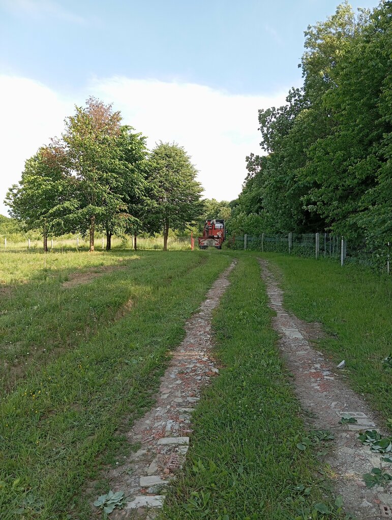 Tarım firmaları КФХ Тимур, Kaliningradskaya oblastı, foto