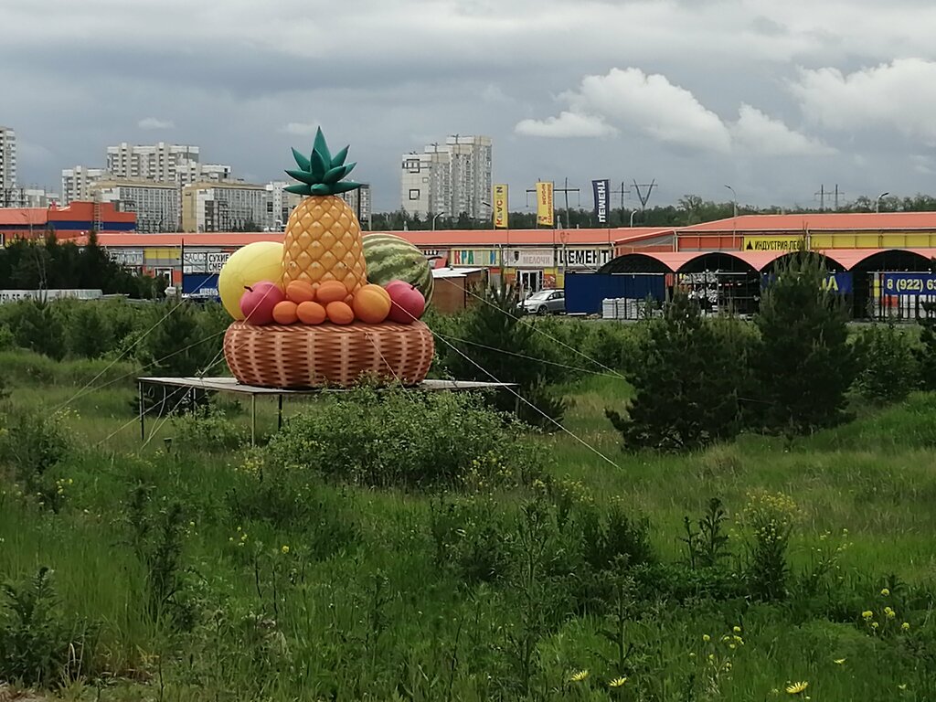 Gıda pazarı Караван Сити, Çeliabinskaya oblastı, foto