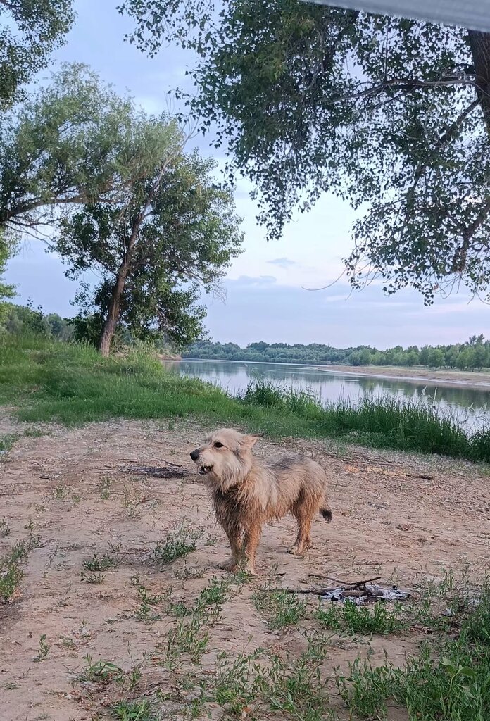 Plaj Пляж, Astrahanskaya oblastı, foto