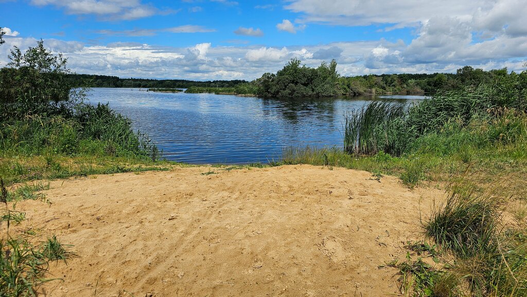 Plaj Пляж, Moskova ve Moskovskaya oblastı, foto