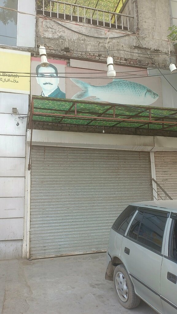 Balık ve deniz ürünleri M Sadiq Fish Shop, Lahor, foto