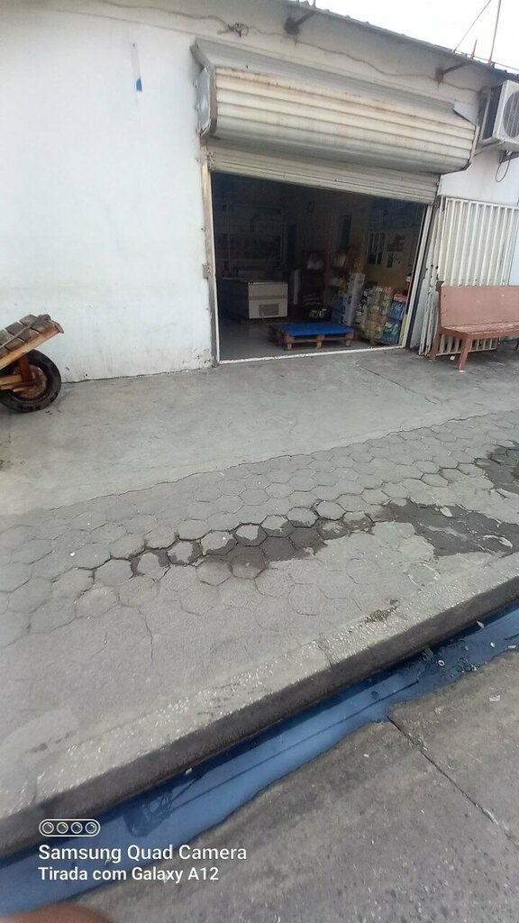 Tarım ürünleri firmaları Cantina, Loanda, foto