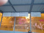 Instytut (Magiliowskaja voblasc, Babrujsk, Shynnaja vulica), toplu taşıma durağı  Bobruisk'ten