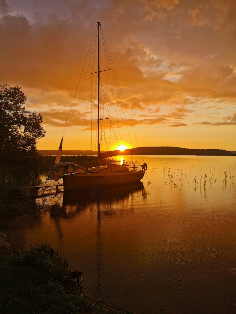 Kamp alanları Туристическая стоянка Пантелеевский рог, Vitebskaya oblastı, foto