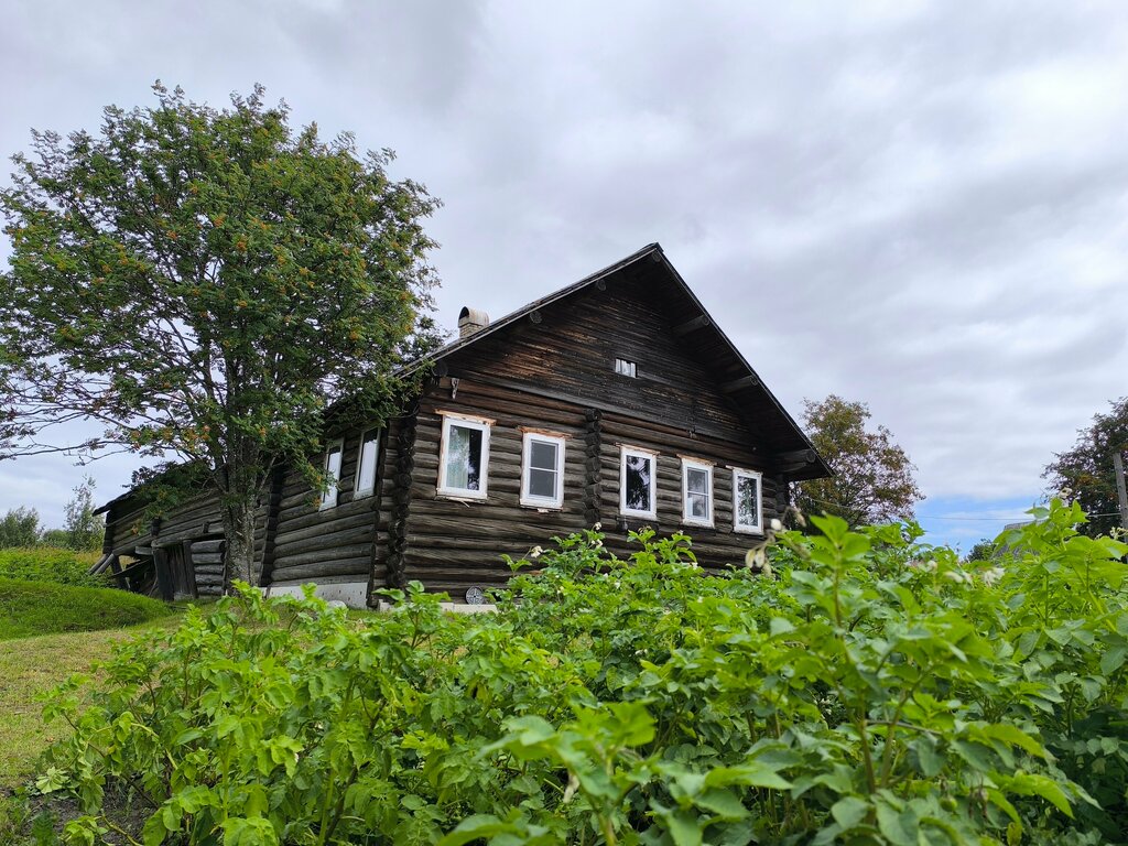 Turistik yerler Дом Саватькиной, Karelya, foto