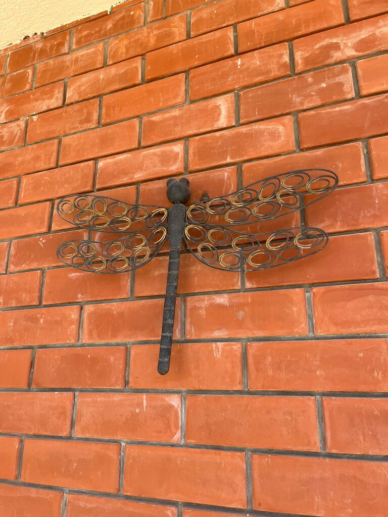 Konuk evi Гостевой Дом Стрекоза, Krasnodarski krayı, foto