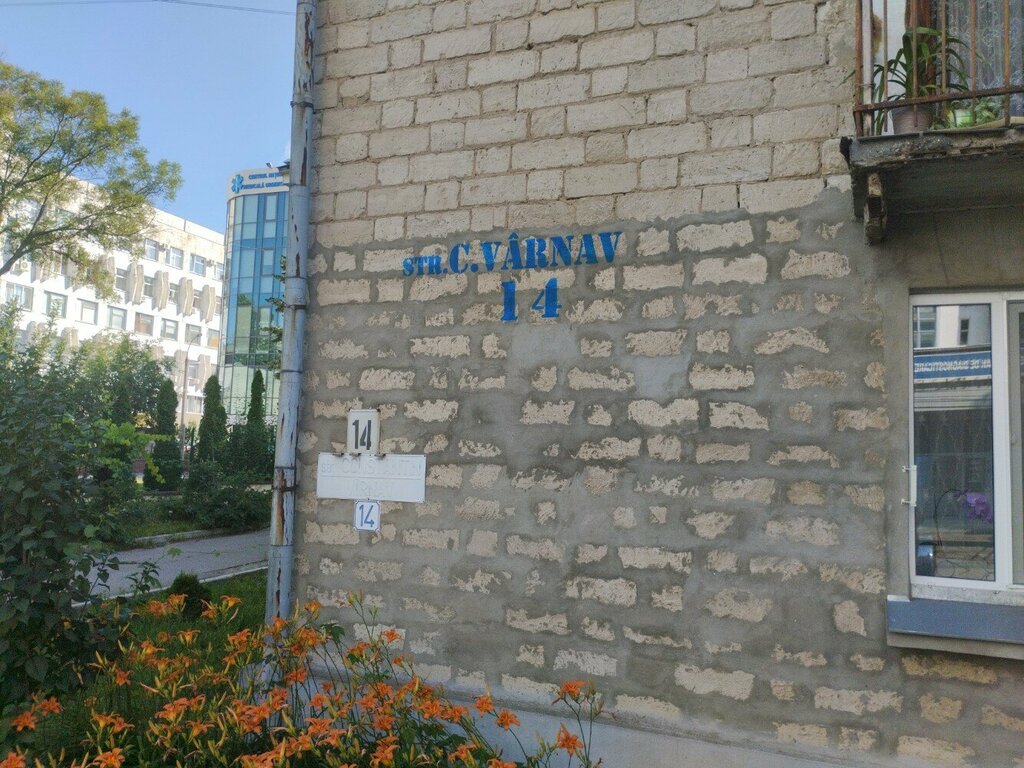 Veteriner klinikleri DivaVet Service, Kişinev, foto
