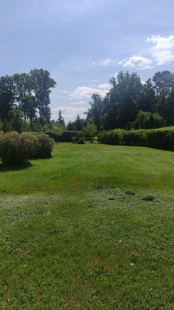 Doğa koruma alanı памятник природы республиканского значения Брашевичская кария-экзот, Brestskaya oblastı, foto