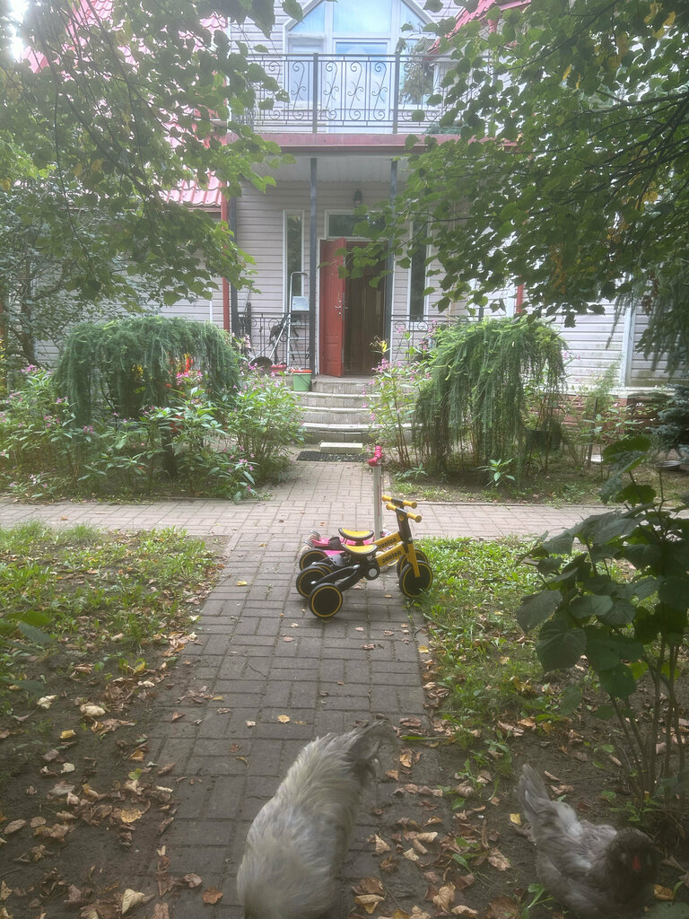 i̇nşaat malzemeleri toptan База отдыха, Saint‑Petersburg ve Leningradskaya oblastı, foto