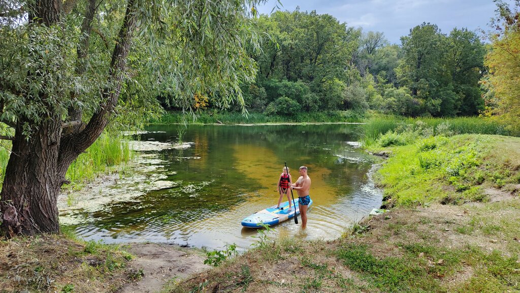 Plaj Кузнецкий пляж, Voronejskaya oblastı, foto