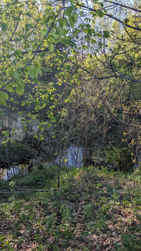 Turistik yerler Затопленный фундамент доменной печи Мальцовского чугунолитейного завода, Kalujskaya oblastı, foto