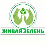 Живая зелень (Universitetskiy Avenue No:107), manavlar  Volgograd'dan