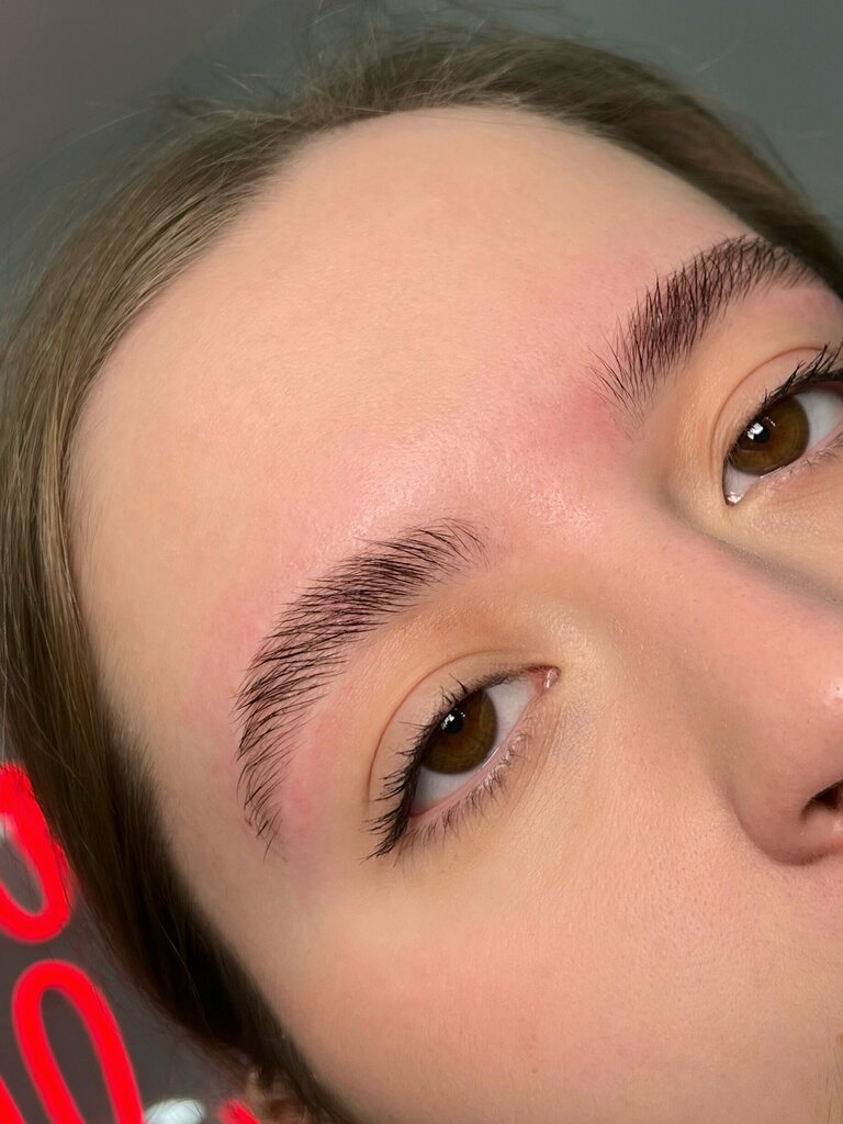 Kaş ve kirpik salonu Stepa. Brows, Moskova, foto